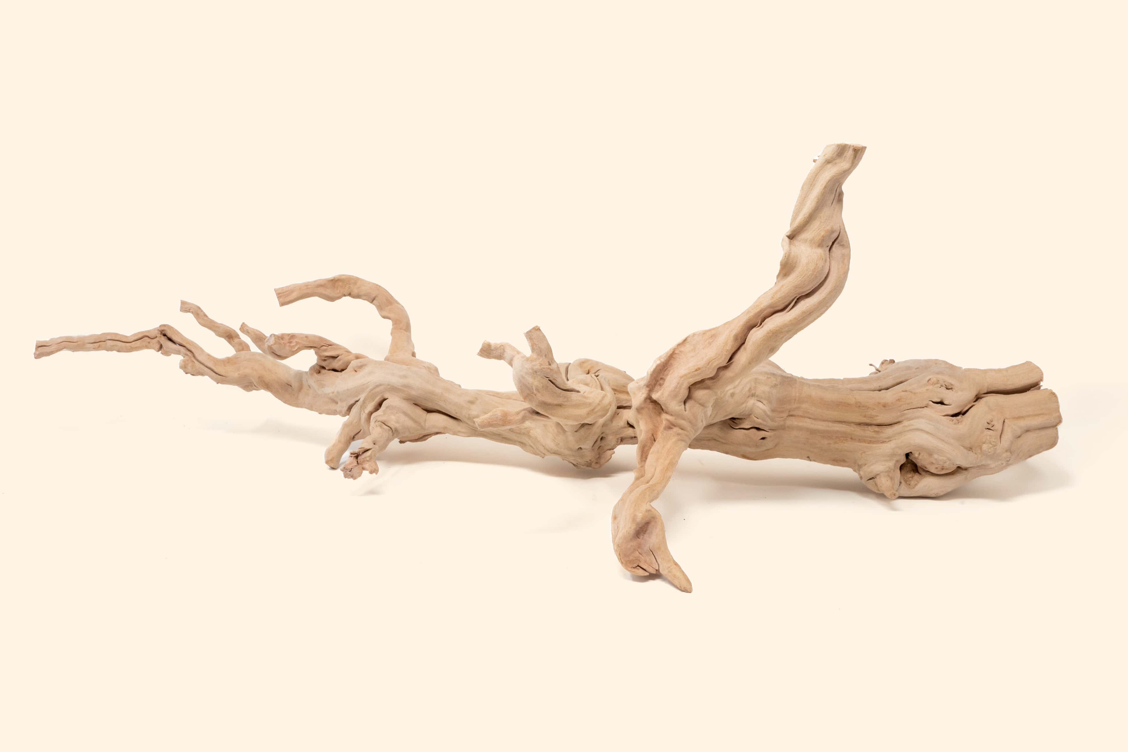 Wholesale: Grapewood Branches By the Pound Mixed Assortment – Air Plant ...
