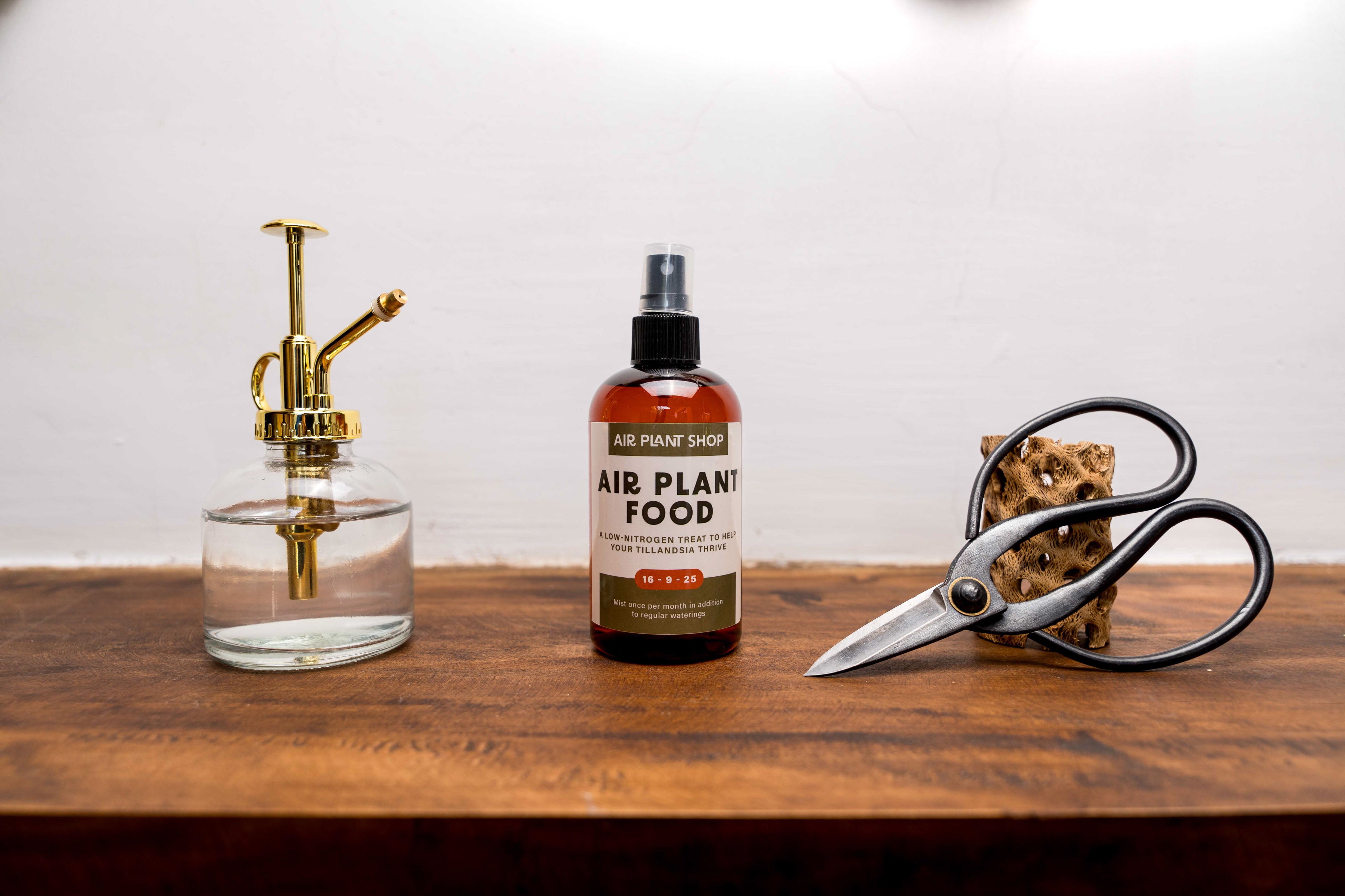 Tillandsia Air Plant Toolkit – Air Plant Shop